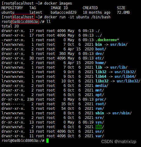 5、Docker 常用命令_ubuntu 查看docker 下载的文件-CSDN博客