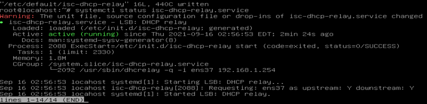 Debian10开启路由转发以及配置dhcp中继_debian10双网卡不路由-CSDN博客