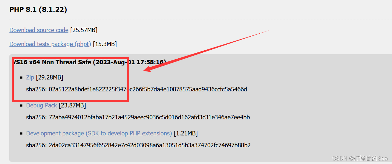 Viscode运行PHP项目-CSDN博客