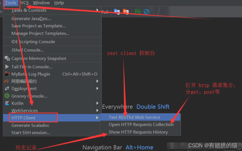 IDEA自带的HTTP Client 接口调试工具_idea自带接口测试工具-CSDN博客