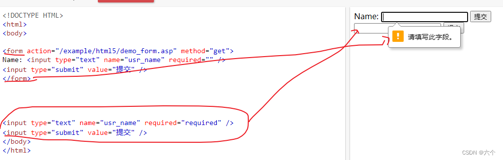 input里required属性_jsp input required-CSDN博客