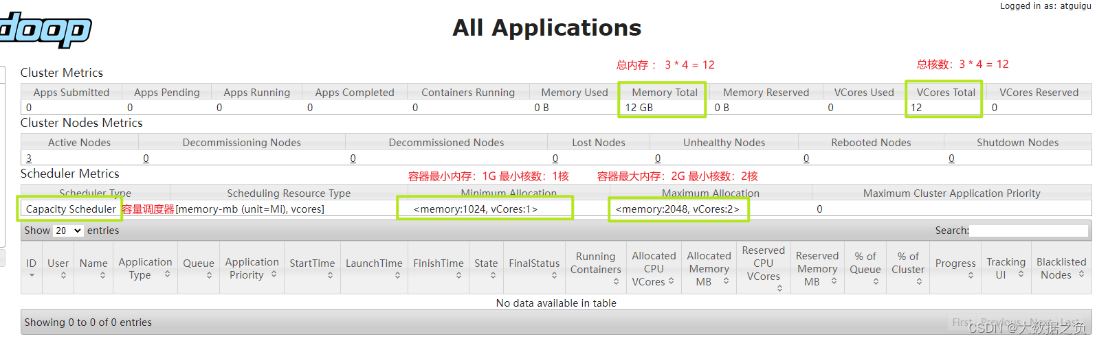 大数据—Hadoop（十六）_ Yarn_02、命令行操作和核心参数配置_hadoop如何查看每个application占用的资源-CSDN博客