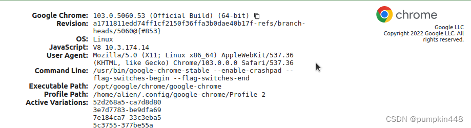 linux环境下实现用python的selenium操作_linux中python的selenium使用-CSDN博客