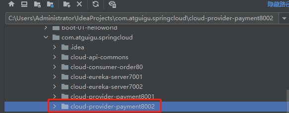 Maven项目中pom.xml文件被Ignored(忽略)的解决办法问题_已忽略的pom.xml-CSDN博客