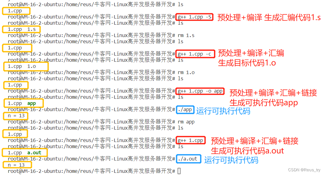 Linux高并发服务器开发 笔记1（环境搭建、系统编程、多进程）牛客linux网络编程 C项目课视频百度云 Csdn博客