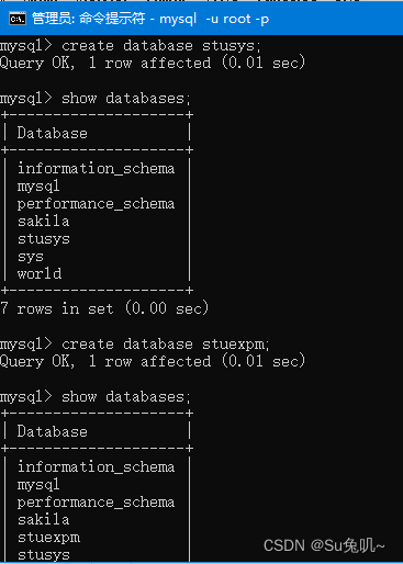 cmd命令行备份数据库_sqlcmd 备份数据库到本地-CSDN博客