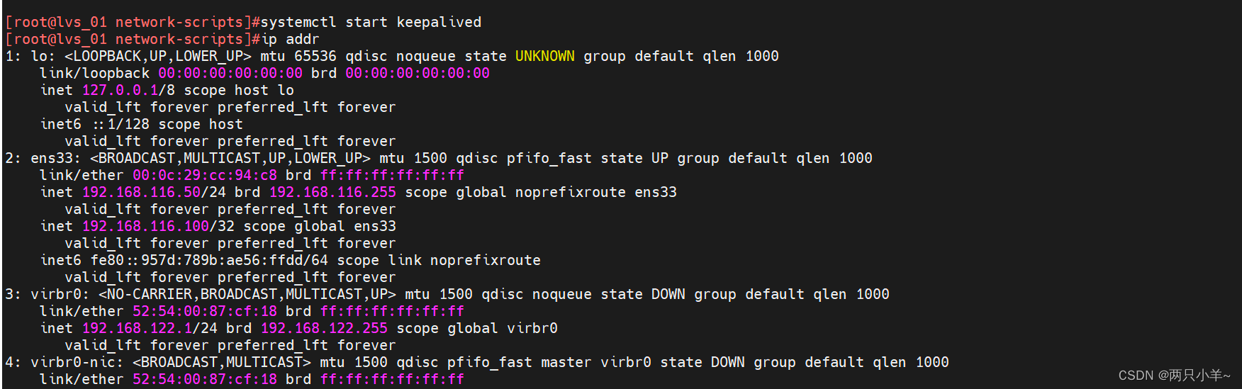 LVS+Keepalived+nfs 集群_lvs nfs-CSDN博客