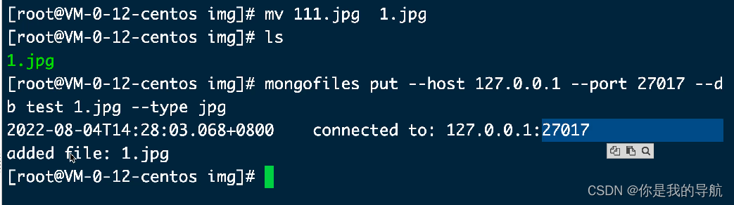Linux使用nginx Gridfs实现文件服务gridfs Nginx Csdn博客