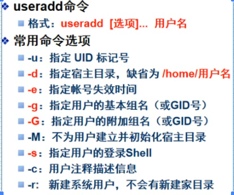 【Linux】（18）用户和组的管理：新建一个用户背后发生了什么+如何不利用useradd手动新建用户_进入useradd创建的用户后-CSDN博客