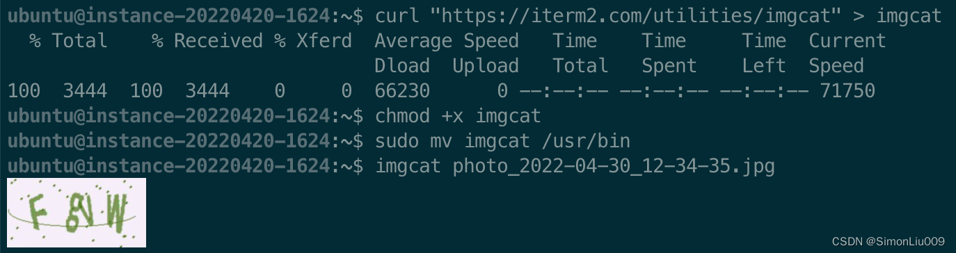 在命令行显示服务器图片iterm2+imgcat_iterm2 imgcat-CSDN博客