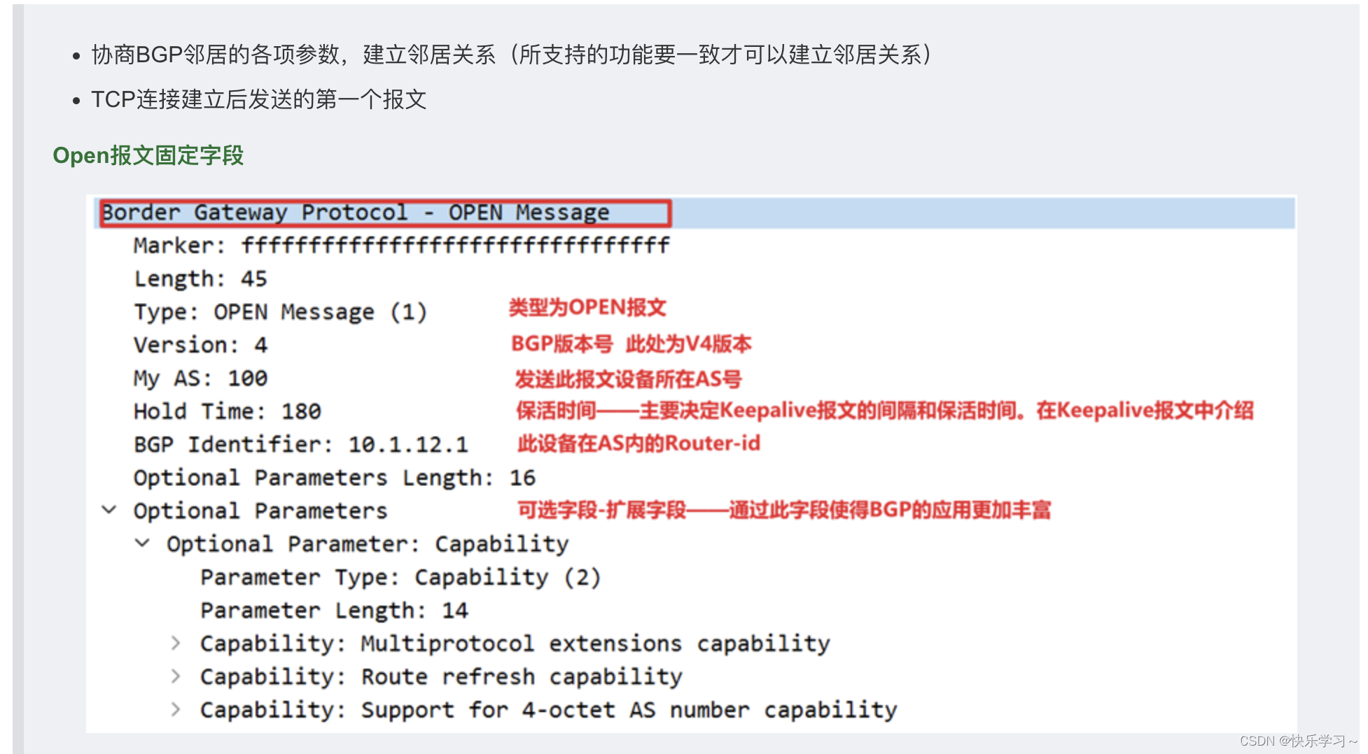 【博客459】BGP(边界网关协议)-----报文格式_route-refresh报文-CSDN博客