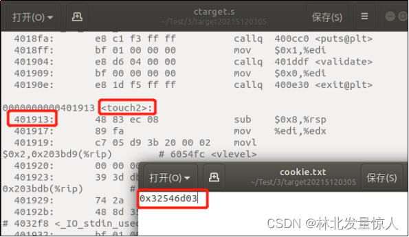 CSAPP-AttackLab实验_csapp实验attack lab-CSDN博客
