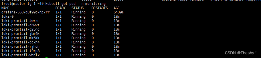 云原生 | K8S集群helm部署loki-CSDN博客