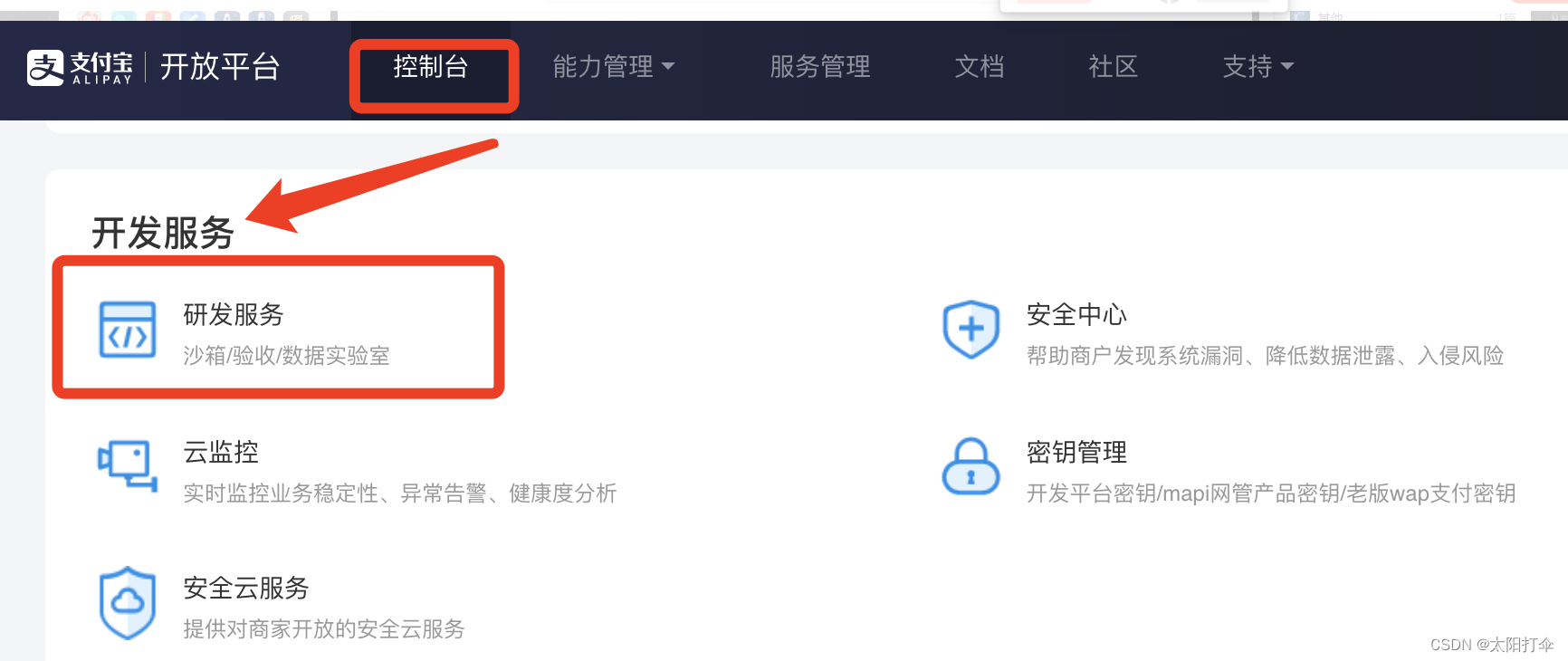 支付宝支付 流程详解支付宝支付流程图解 Csdn博客 