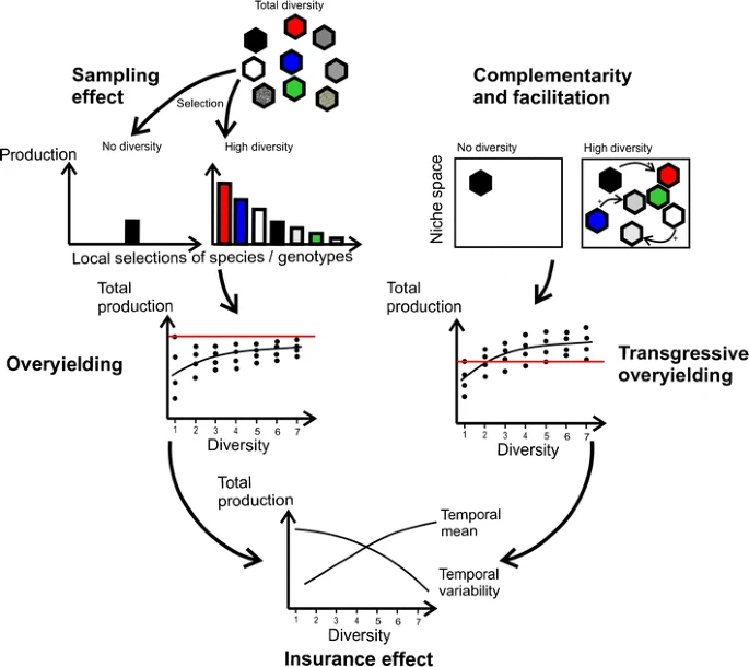 Biodiversity and Ecosystem Functioning（生物多样性和生态系统功能）_david tilman-CSDN博客