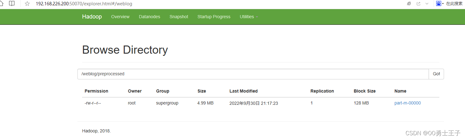 web日志分析系统(课程设计作业)_web项目日志 表格设计-CSDN博客