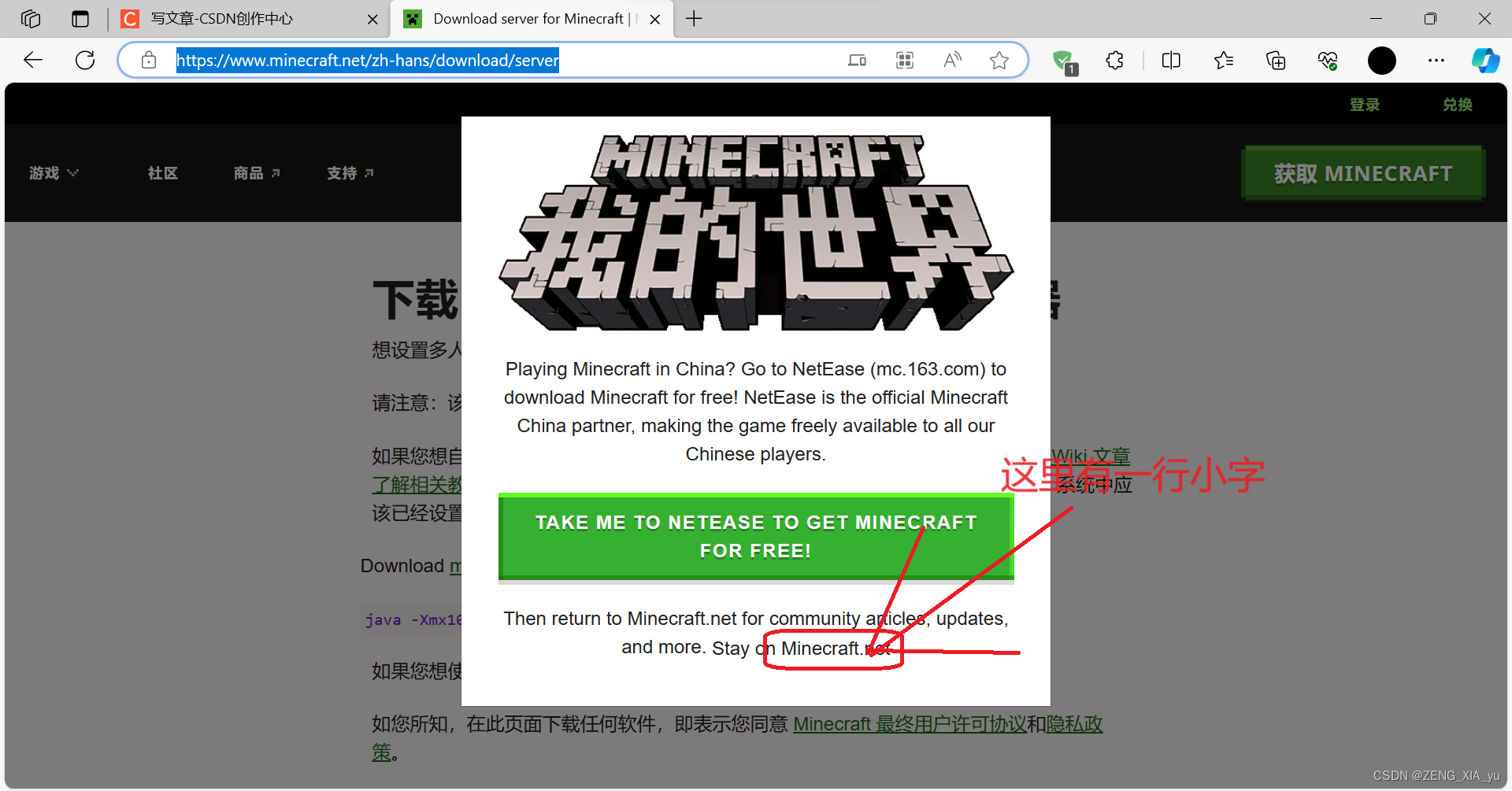 【我的世界】Java服务器_mc server1.20.2文件-CSDN博客