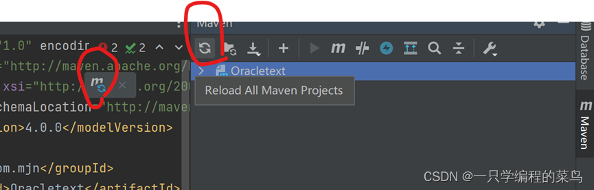用IDEA2021.3来创建一个maven项目（连接oracle数据库）_oracle maven-CSDN博客