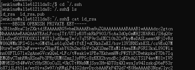 docker安装jenkins并完成jenkins配置_docker run -d --name jenkins-CSDN博客