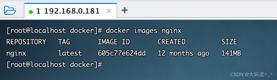 第06讲：Docker部署Nginx_docker中nginxlocal目录-CSDN博客