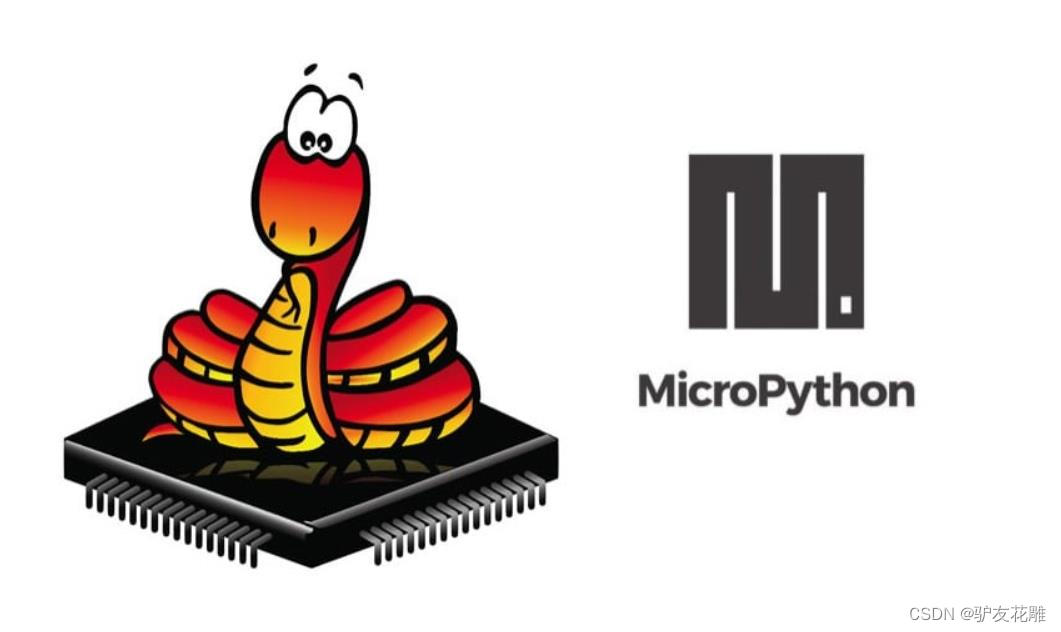 【雕爷学编程】micropython手册之数据类型 Int 整型micropython Int Csdn博客
