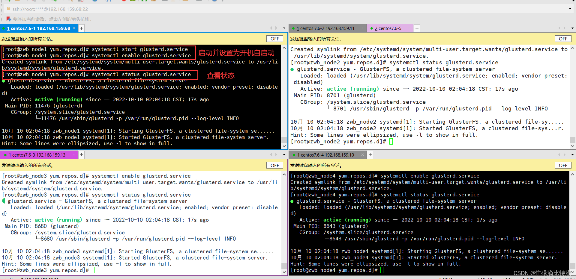 Glusterfs分布式存储-CSDN博客