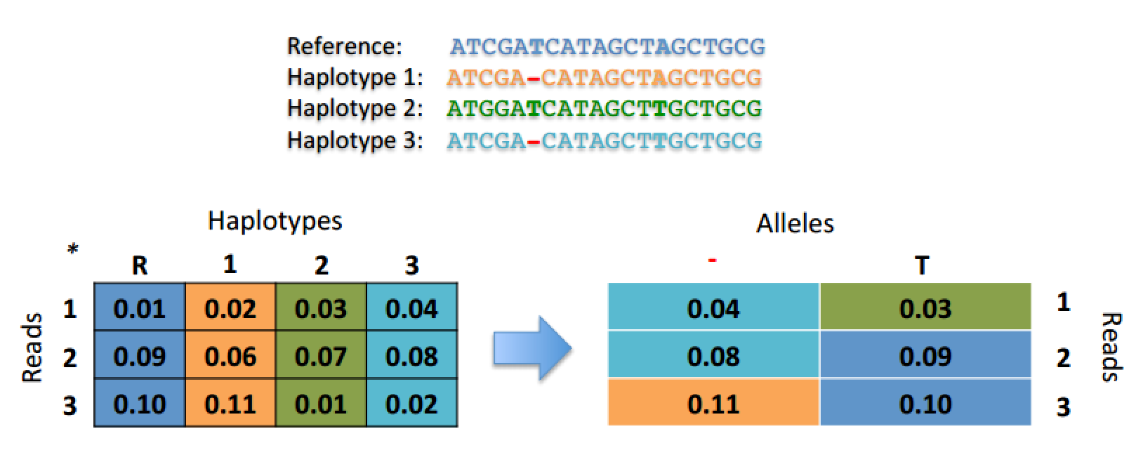 GATK-HaplotypeCaller 变异检测详解_gatk haplotypecaller参数-CSDN博客