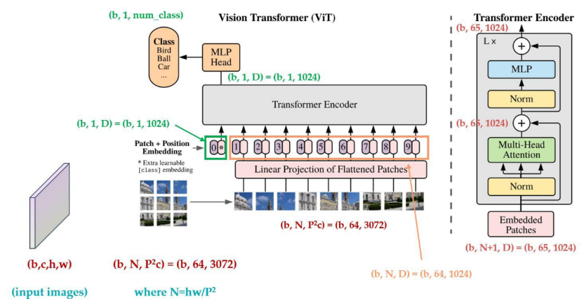 初识 CV Transformer 之Vision Transformer (ViT)_vit的嵌入层-CSDN博客