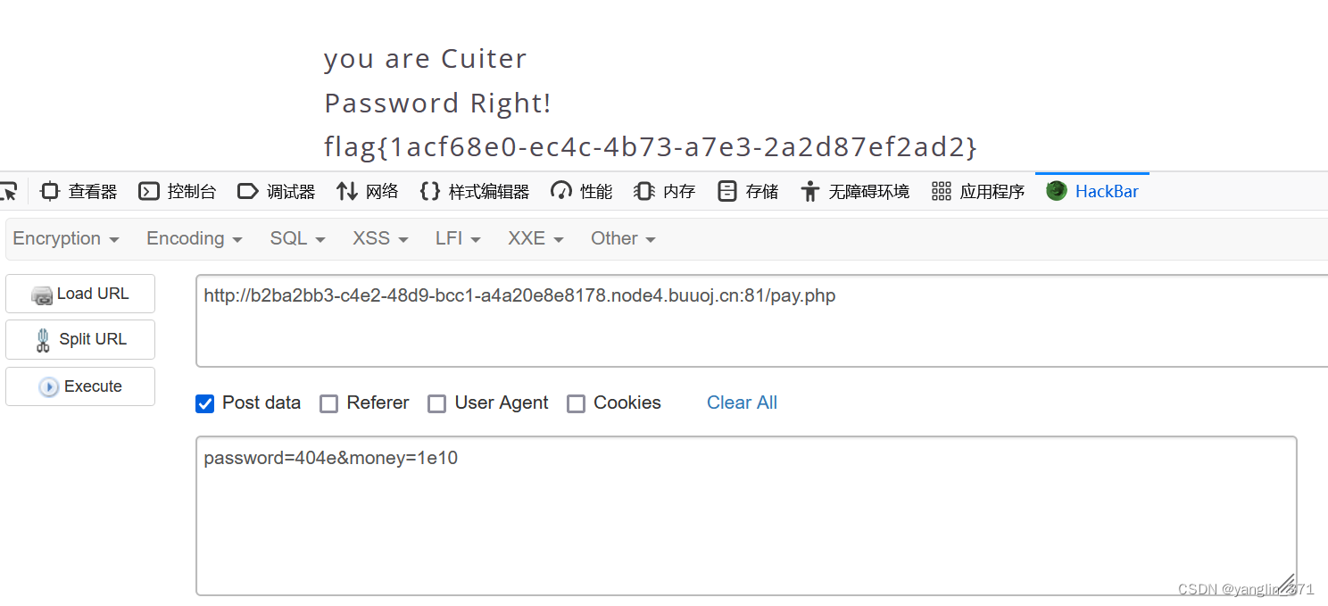 BUUCTF [web专项19][极客大挑战 2019]BuyFlag_buuctf极客大挑战2019-CSDN博客
