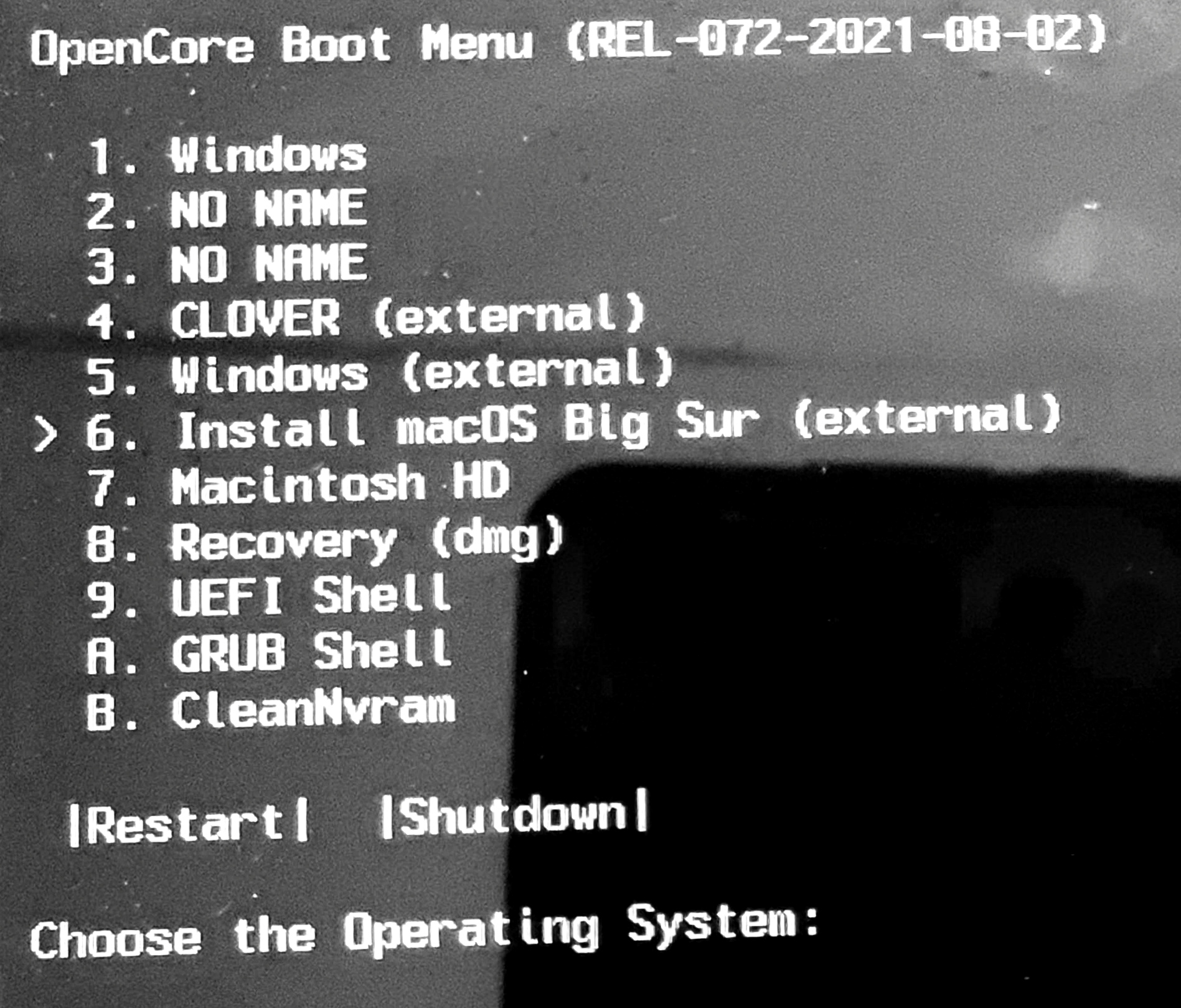 关于OpenCore引导下没有install macOS……的解决方案_opencore boot menu下没有mac选项-CSDN博客