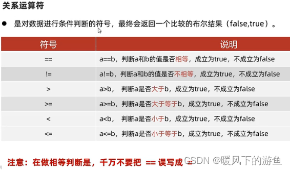 Java复习笔记入门阶段03：类型转换和运算符java中int Rs是什么意思 Csdn博客 