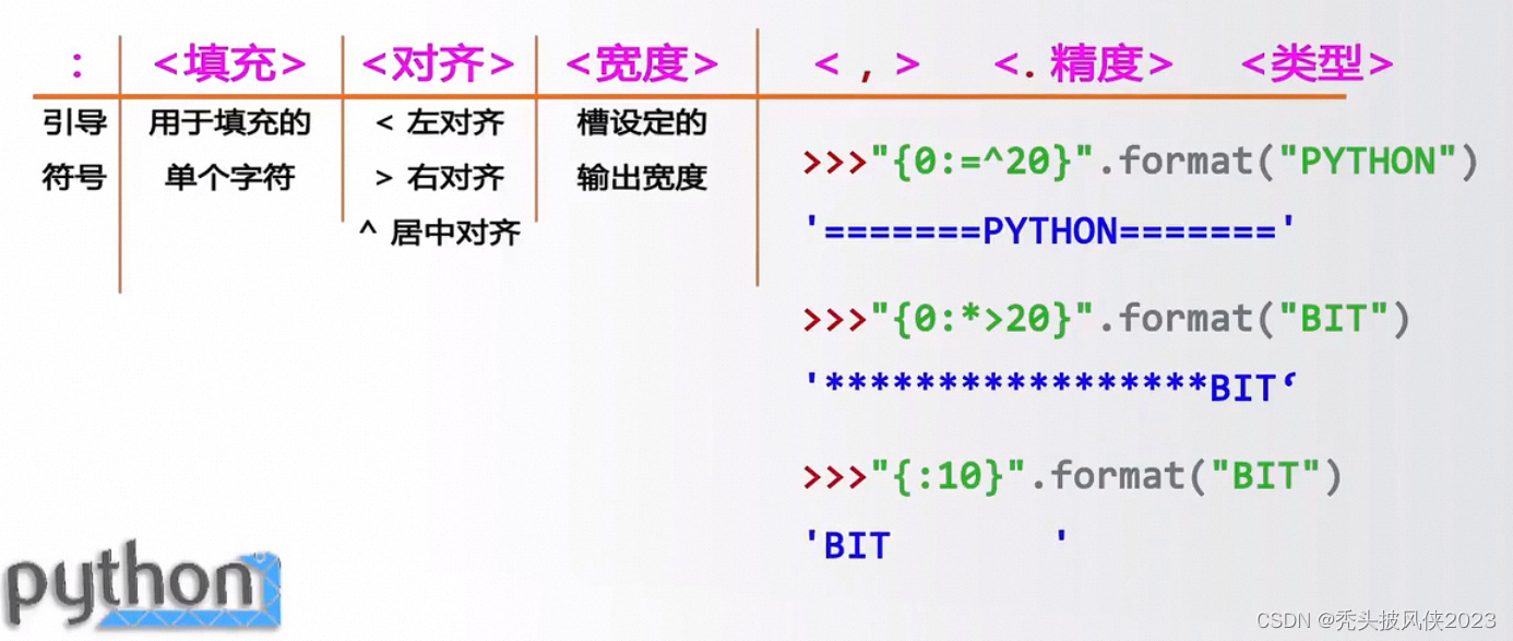 Format()方法的格式控制format格式控制 Csdn博客