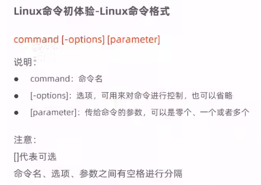 Linux入门_if [ ${tpid} ]; then-CSDN博客