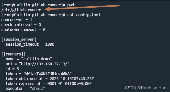 部署gitlab-runner_gitlab runner-CSDN博客