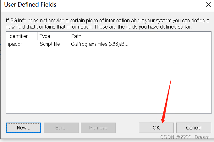 BGinfo使用教程，提升工作效率-CSDN博客