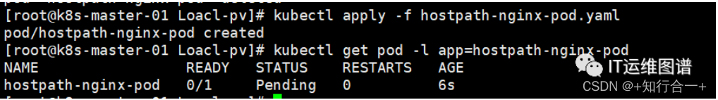 一文彻底搞懂k8s中Local PV的使用-CSDN博客