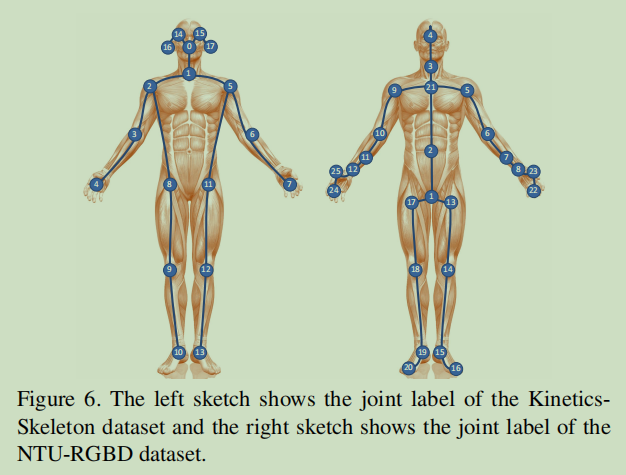【2s-AGCN】Two-Stream Adaptive Graph Convolutional Networks for Skeleton-Based Action Recognition ...