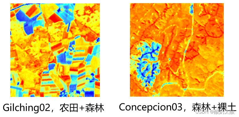 Quantifying spatial heterogeneity at the landscape scale using variogram models 文献翻译与解读_二阶平稳假设和 ...