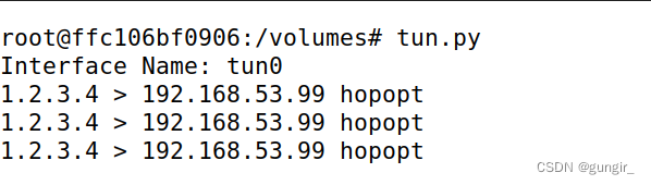 seedlab:V** tunneling The Container Version_seedlab:virtual private network lab-CSDN博客