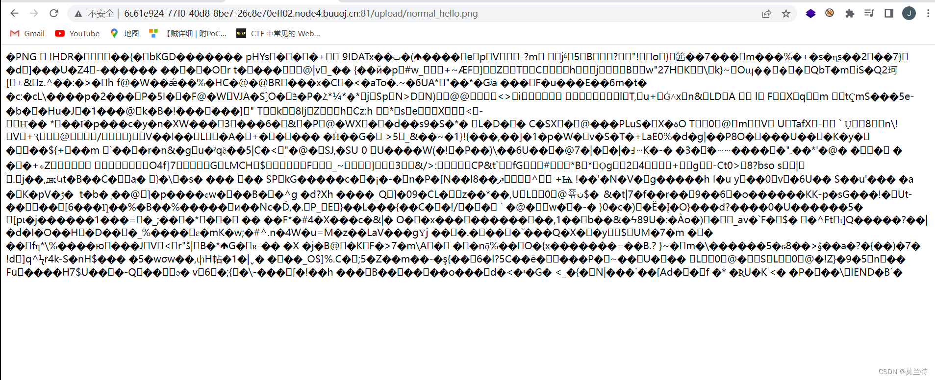 newstarctf web week5_newstar文件上传题目-CSDN博客