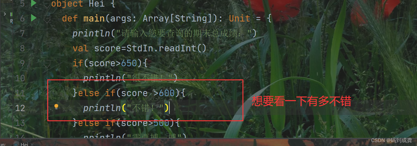 Scala004--if分支语句_scala if-CSDN博客