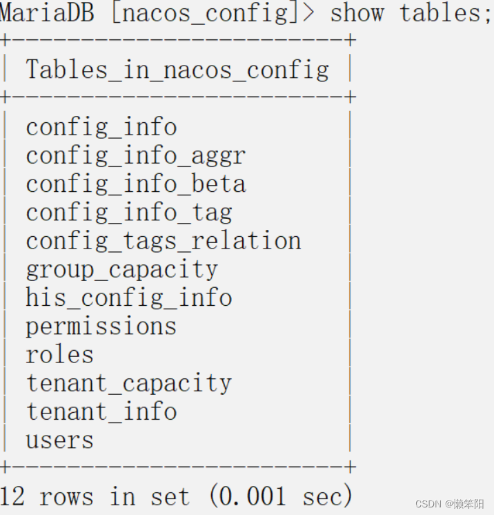 Nacos服务注册中心_nacos config_info_懂Java的懒阳阳的博客-CSDN博客