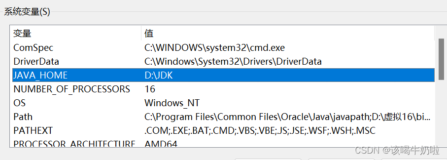 Java环境配置 Csdn博客