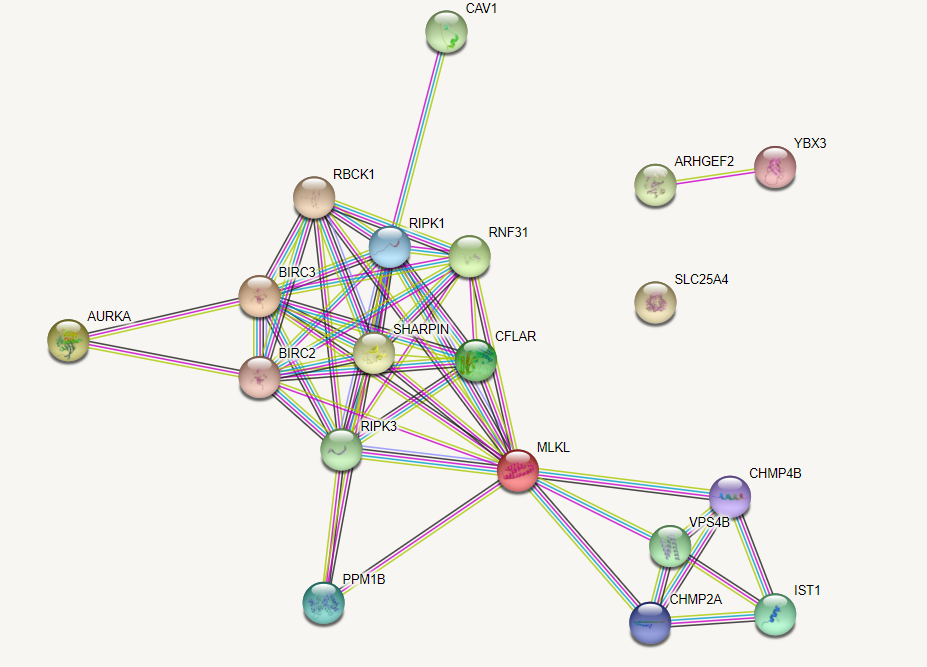 分享几个蛋白质互作网站——String （二）多基因蛋白互作_蛋白互作预测网站-CSDN博客