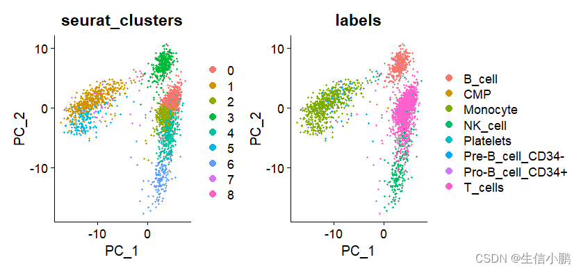 单细胞分析（二）——细胞注释（SingleR自动注释）_r语言细胞注释-CSDN博客