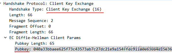 DTLS、ICE--用janus举例_libnice dtls-CSDN博客