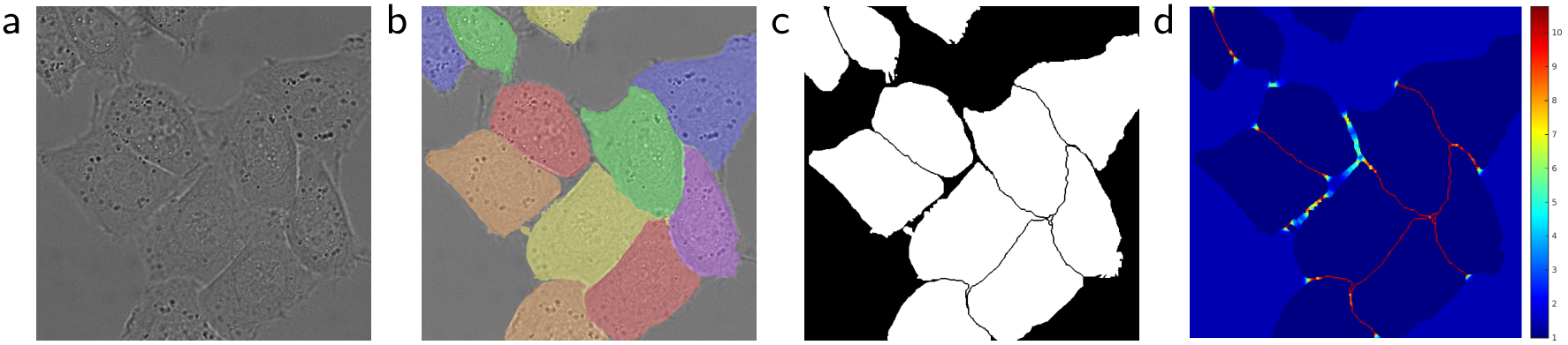 【U-Net2015】U-Net: Convolutional Networks for Biomedical Image ...