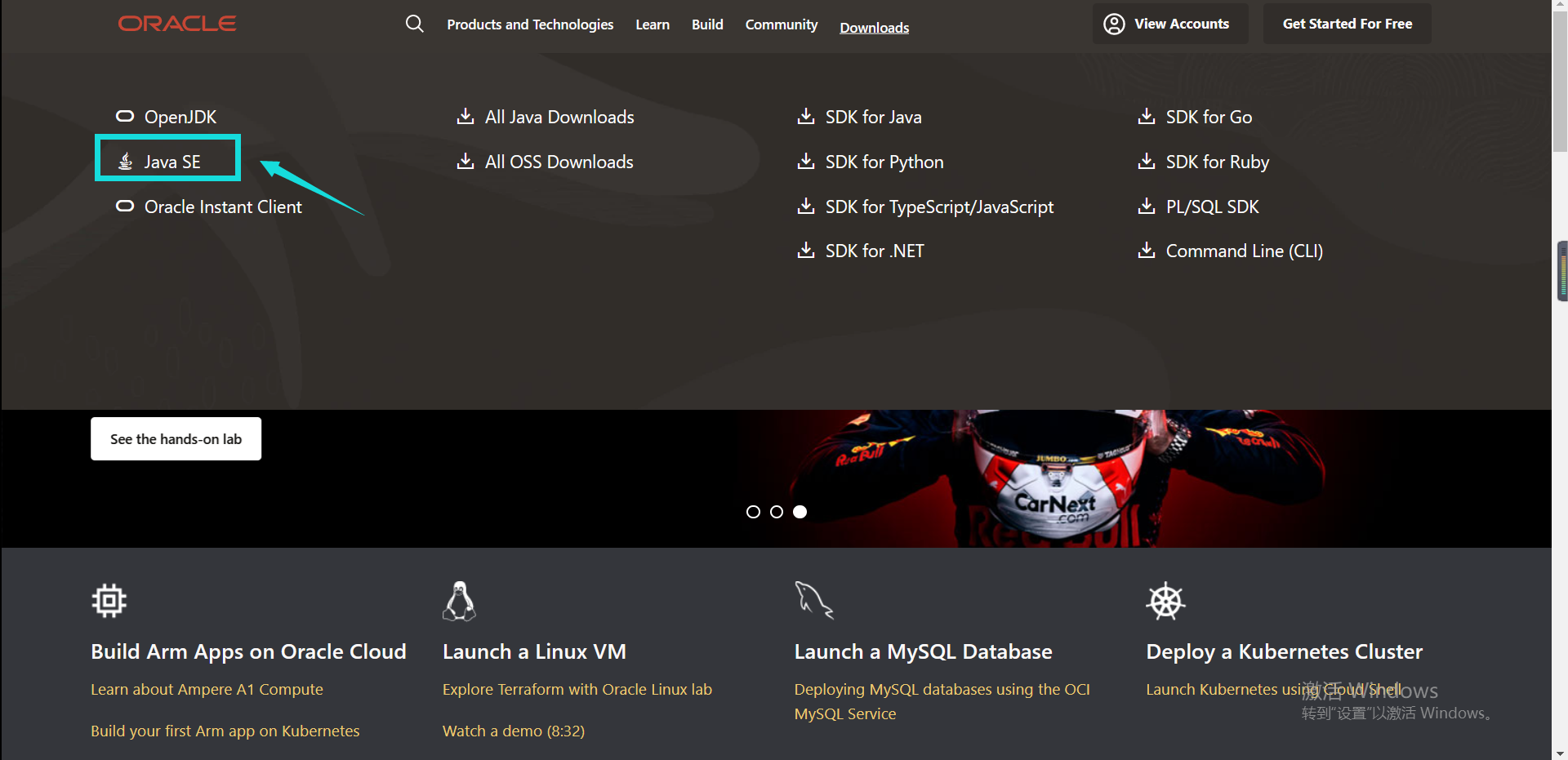 最新Oracle官网JDK 8.0的下载_jdk8 32位下载-CSDN博客