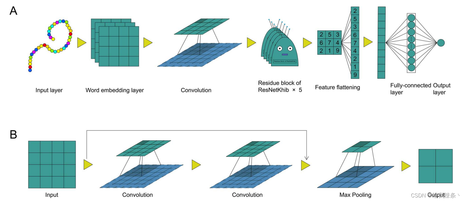 ResNetKhib：一种通过迁移学习预测赖氨酸2-羟基异丁基化位点的新型细胞类型特异性工具-CSDN博客