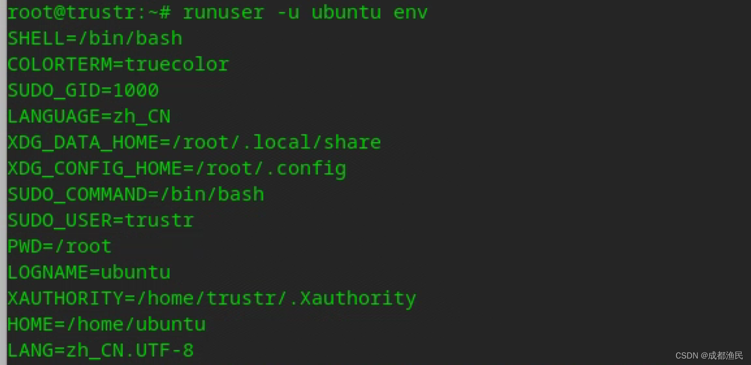 Linux中使用runuser命令实现用其他用户身份执行命令-CSDN博客
